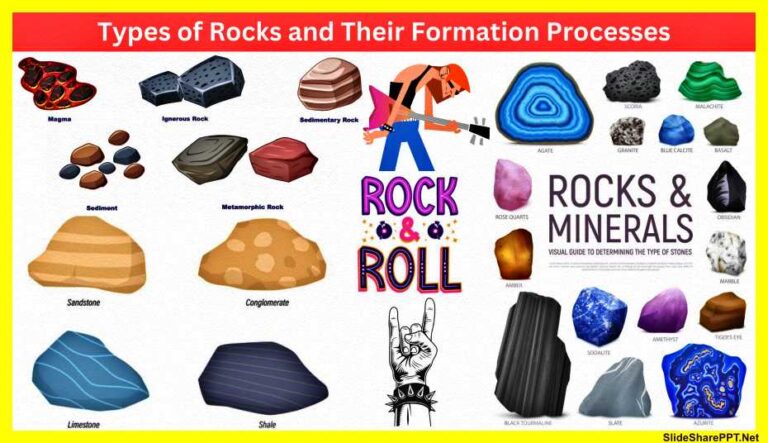 Types Of Rocks And Their Formation Processes (UPSC PDF)