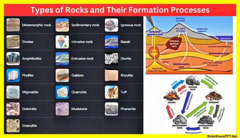 Types Of Rocks And Their Formation Processes (UPSC PDF)