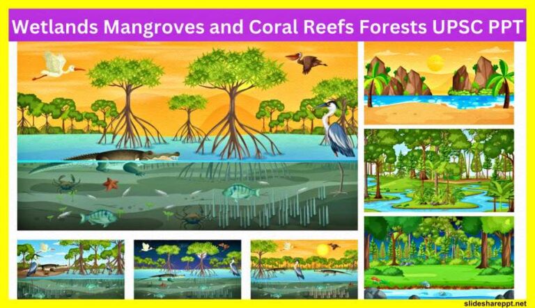Wetlands Mangroves And Coral Reefs Forests UPSC PPT Slides