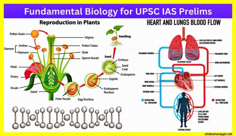 Fundamental Biology For UPSC IAS Prelims » SlideSharePPT